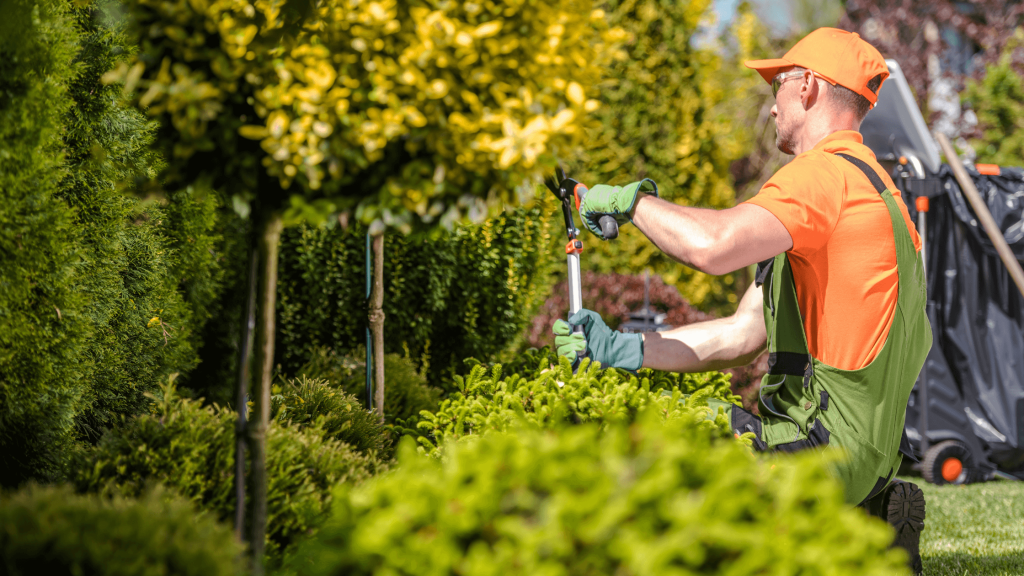 The Benefits of Regular Tree Trimming and Pruning | Price Right Trees