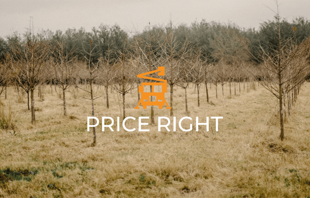 Jan New Year, New Trees: The Best Species to Plant in 2024