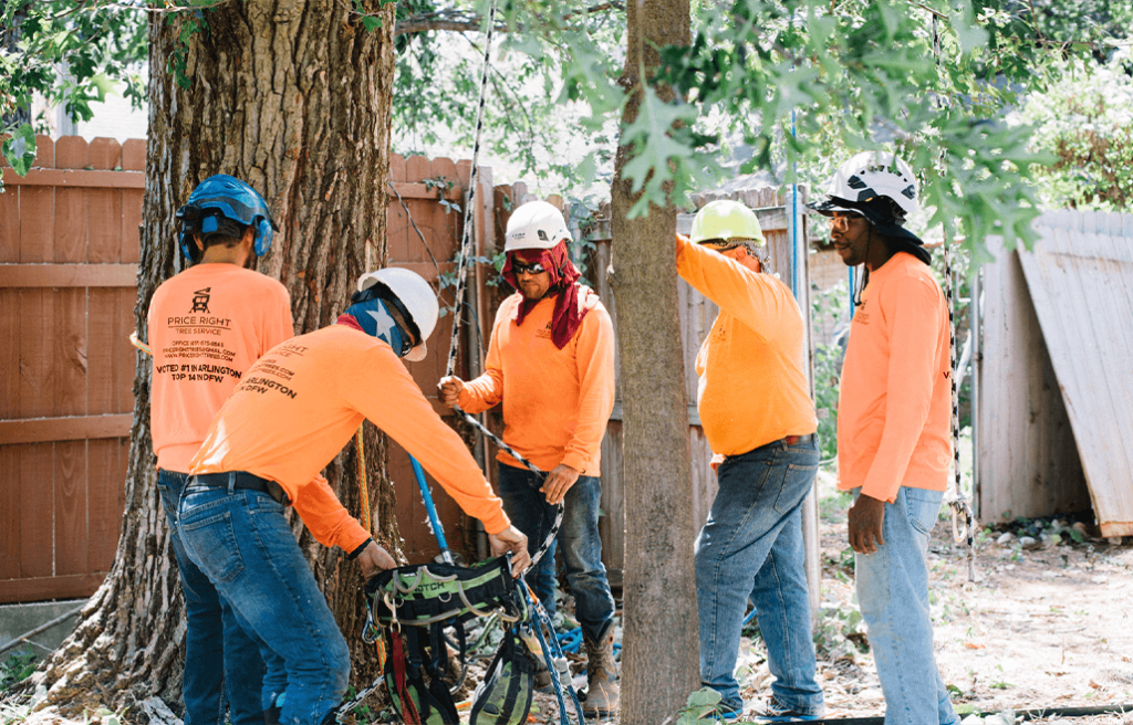 Assessing Your Landscape’s Winter Readiness